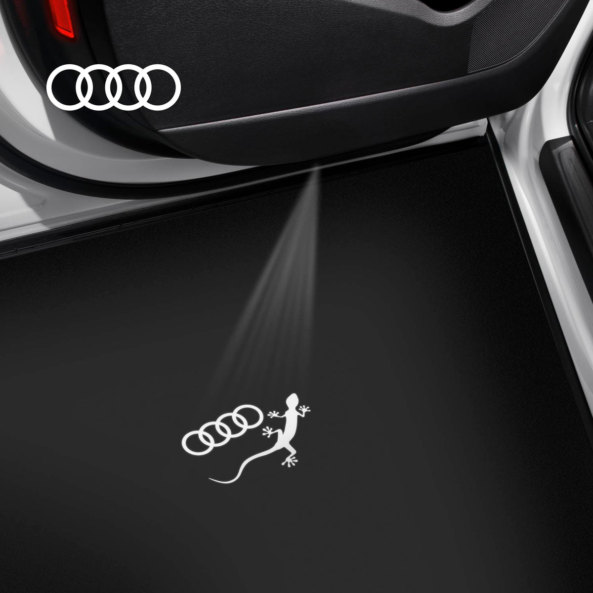 Audi Entry LED light "Audi rings with gecko" logo — Audi Flagship Store