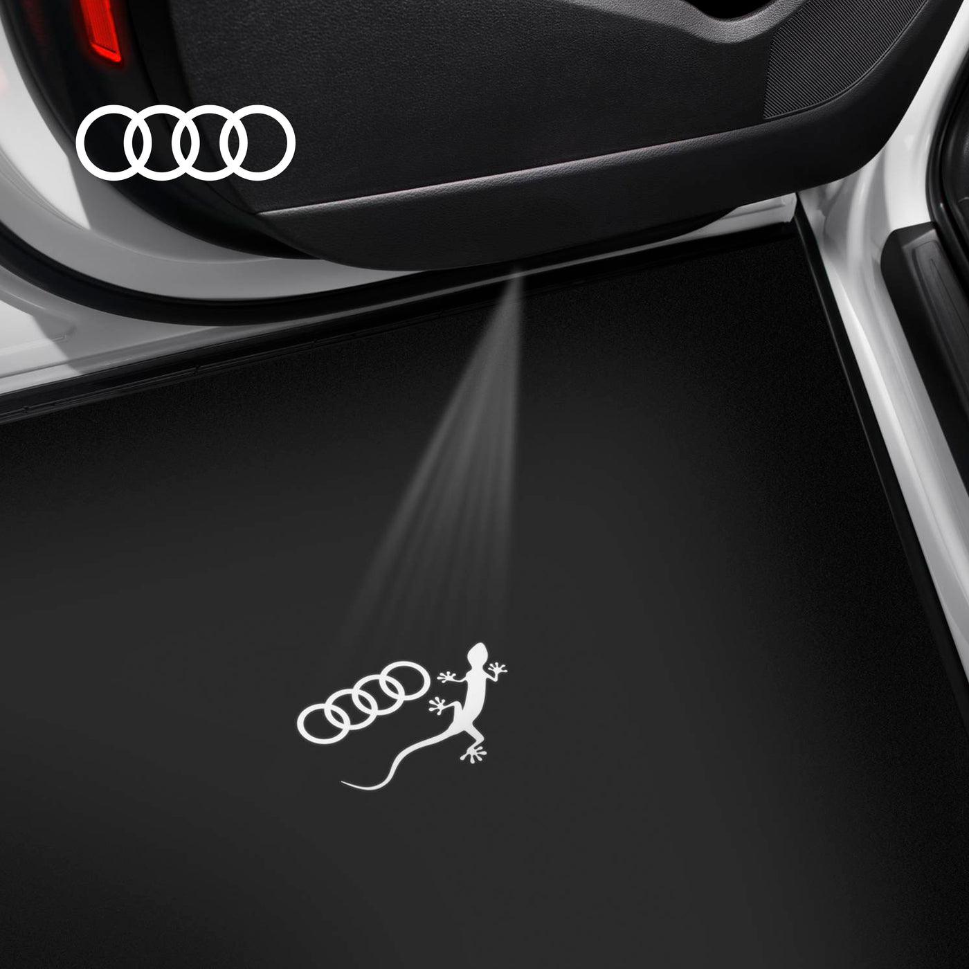 Audi Entry LED light "Audi rings with gecko" logo — Audi Flagship Store