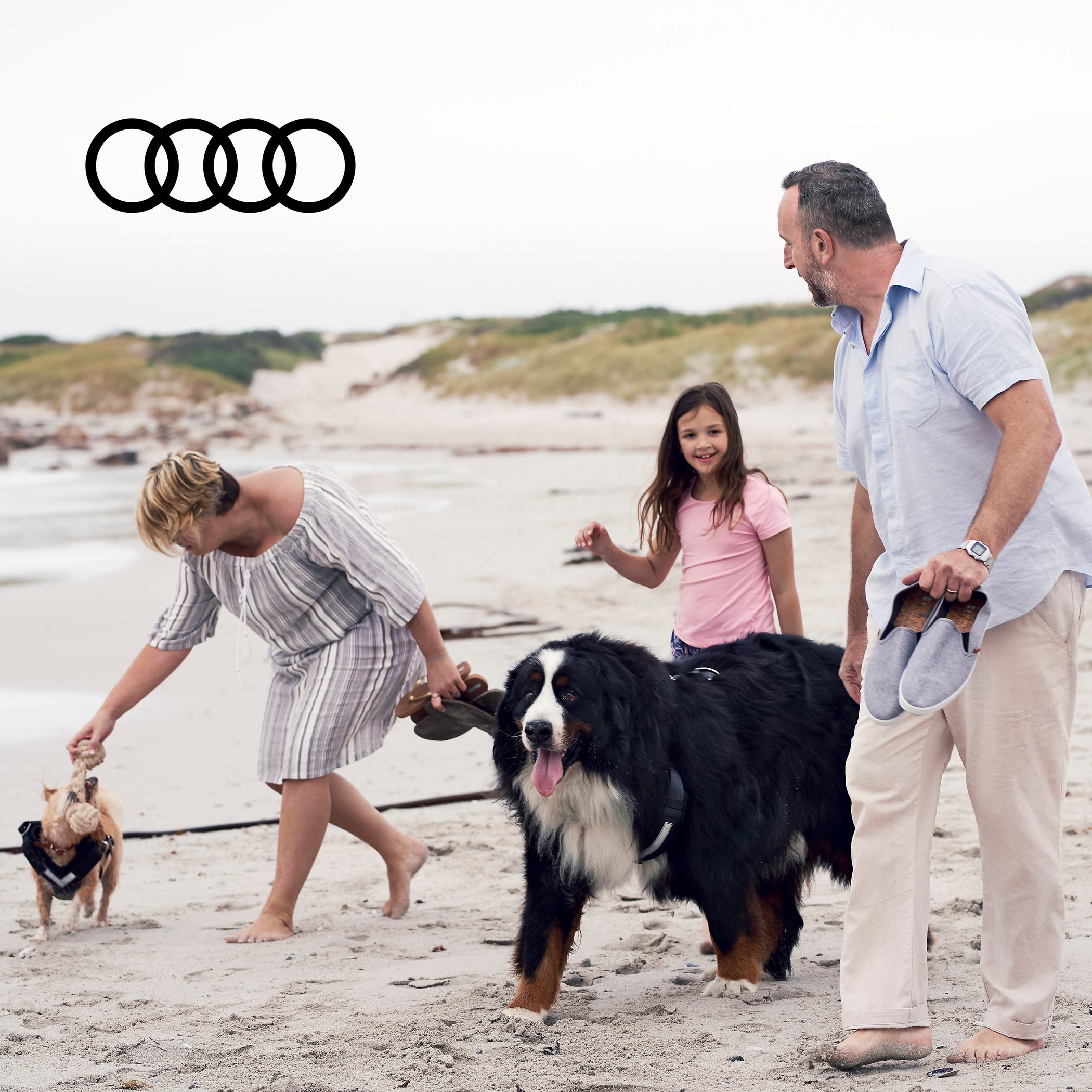 Audi Safety Harness for dogs — Audi Flagship Store